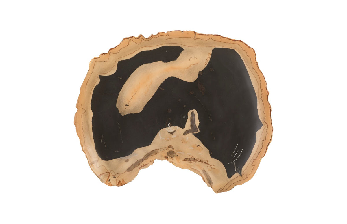 Cast Petrified Wood Wall Tile, Resin, Thin | Phillips Collection - PH9